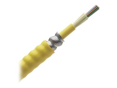 Panduit 9UM OS2 24FB INDOOR ARMORED CB (FSPR924Y)