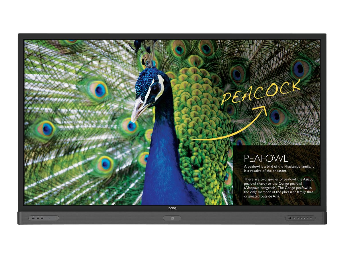 BenQ 65" RP654K 4K Ultra HD LED-LCD Touchscreen Display, Black (RP654K)