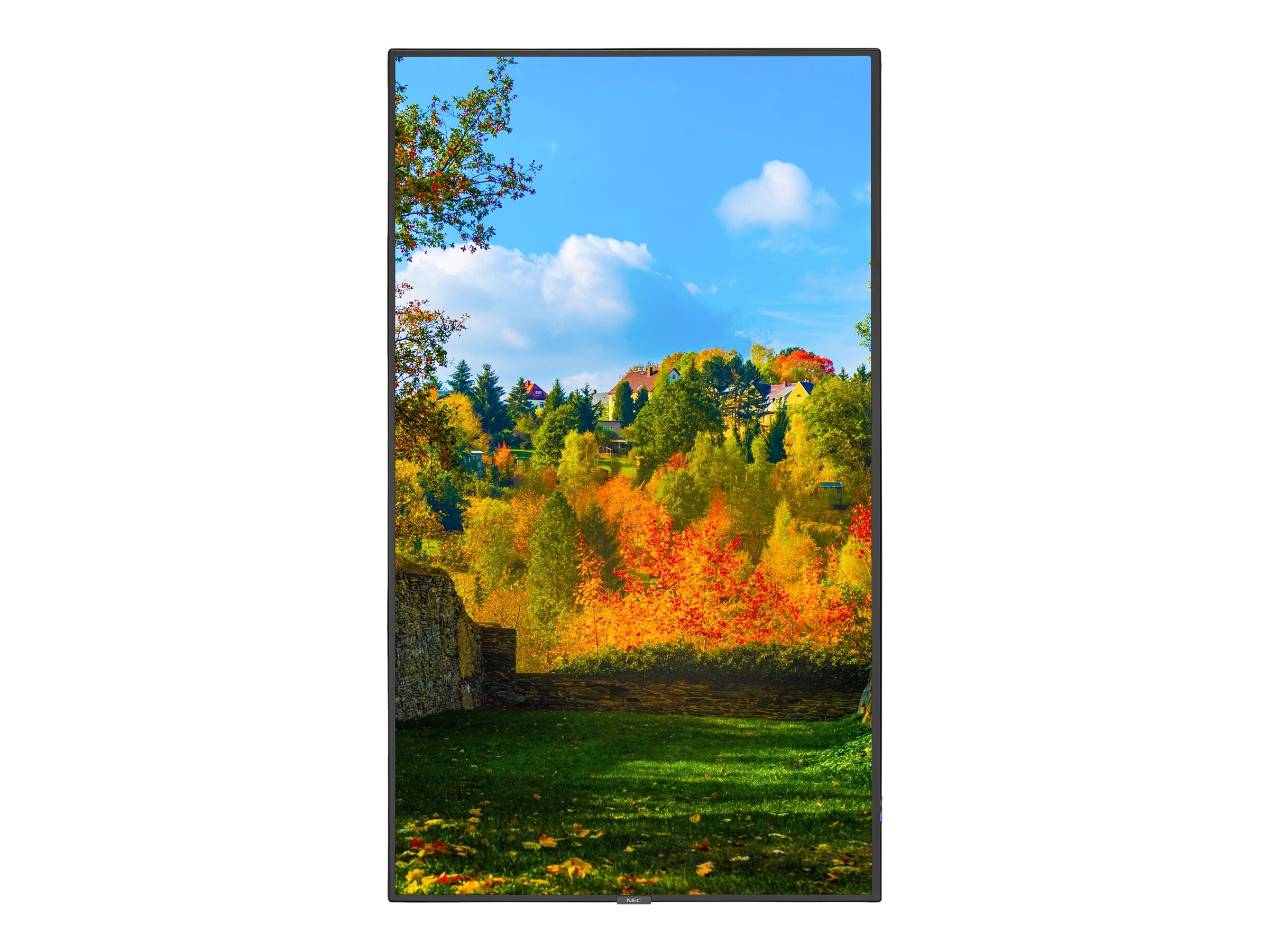 Sharp NEC 55" M551 4K Ultra HD LED-LCD PCAP Touchscreen Display (M551-PT)