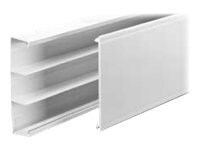 Wiremold DIVIDED BASE IVORY - 48FT (5500BD3 )