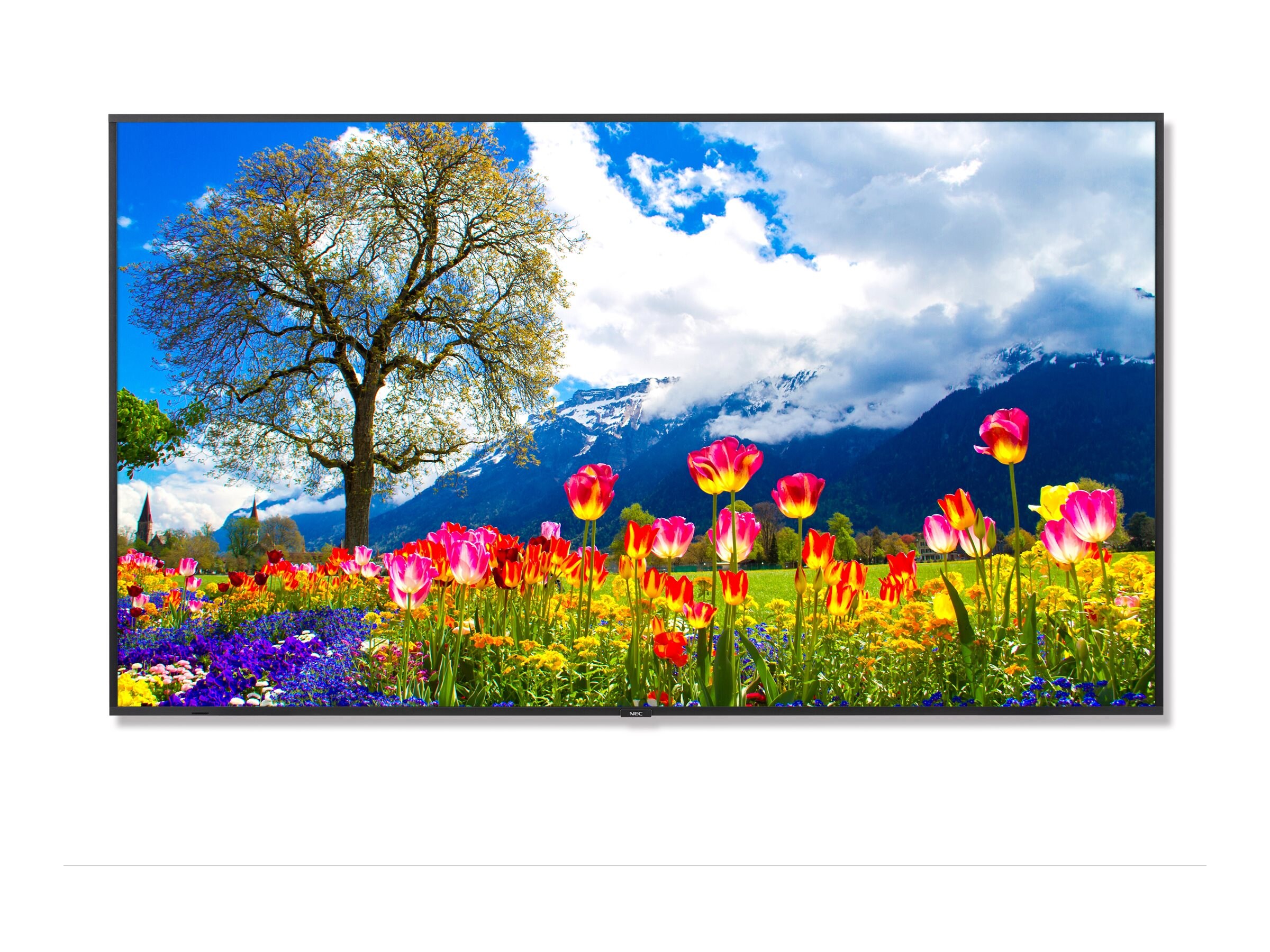 Sharp NEC 98" M981 4K Ultra HD LED-LCD Display (M981)