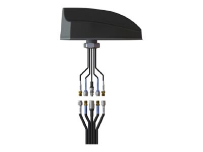 Airgain STANDARD EZCONNECT CABLE HARNE (CH-C2W3G-1-2-1-14 )