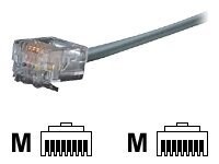 Black Box RJ-45 (8-Wire) M M Modular Cable, Gray, 10ft (EL08MS-MM-10)