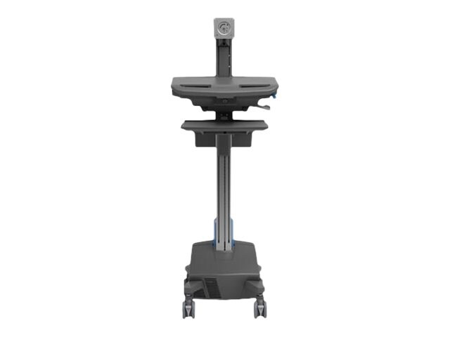 Ergotron STYLEVIEW CART WITH LCD PIVOT, (SV42-8302-1)