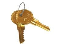 APG (2) MM104 Keys for Till Cover (PK-14A-K104)