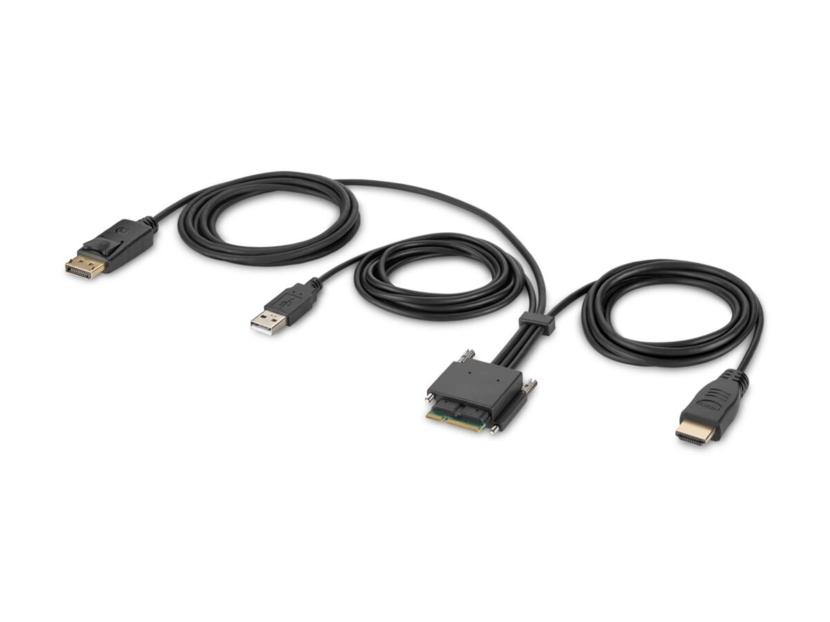 Belkin Modular HDMI and DP Dual Head Host Cable, 6ft (F1DN2MOD-HC-HP6)