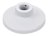 Rhombus Systems Pendant Cap for R100, R200 (ACC-R100-CAP)