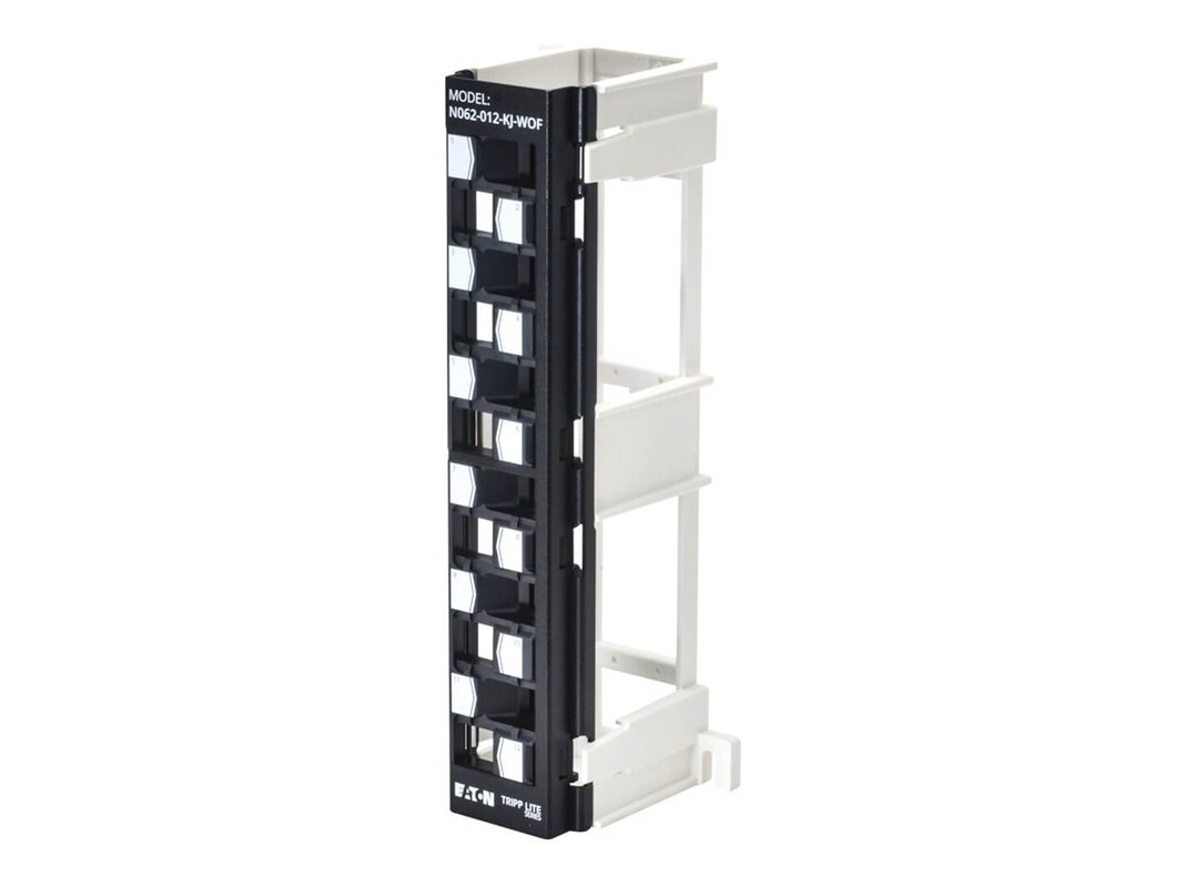 Tripp Lite 12-Port Cat6a Wall-Mount Patch Panel - PoE+ (N250-012-6A-OF)
