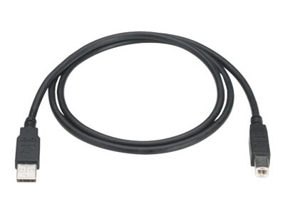 Black Box USB 2.0 Cable Type A To Type B 6ft (USB05-0006)