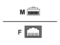 Palo Alto RJ45 ADAPTER JACK TO PLUG ACCE (PAN-ACC-RJ45-JACK )