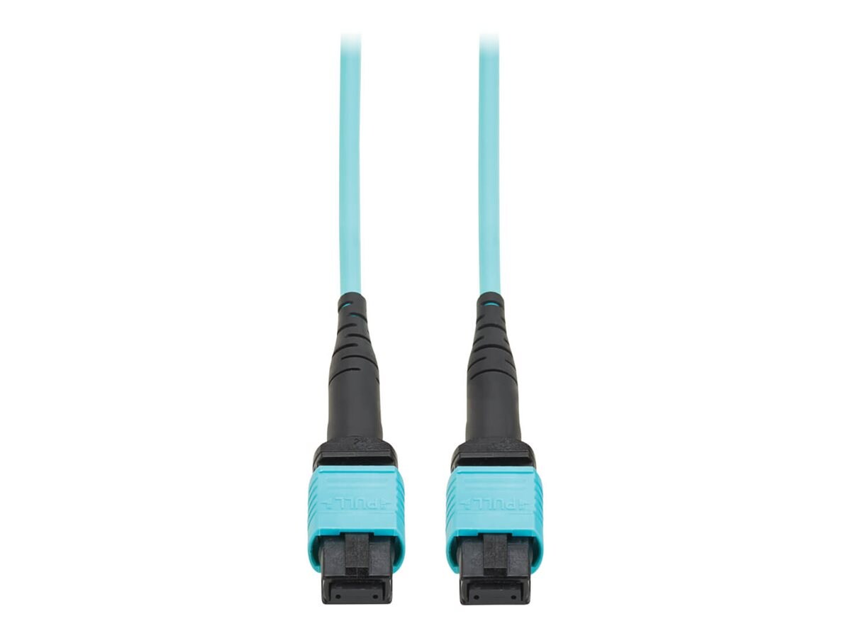 Tripp Lite 12-Fiber MPO F F 100G 50 125 OM4 Fiber Multimode Type (N845A ...