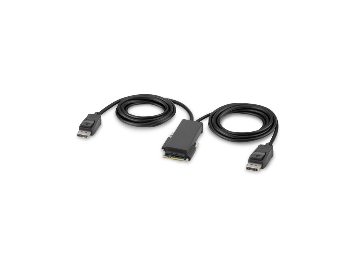 Belkin Secure Modular DP Dual Head Console Cable, 6ft (F1DN2MOD-CC-P06)
