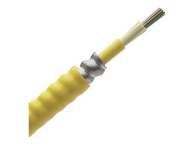 Panduit 12 Fiber OM4 Indoor Armored Plenum Cable (FOPPZ12Y)