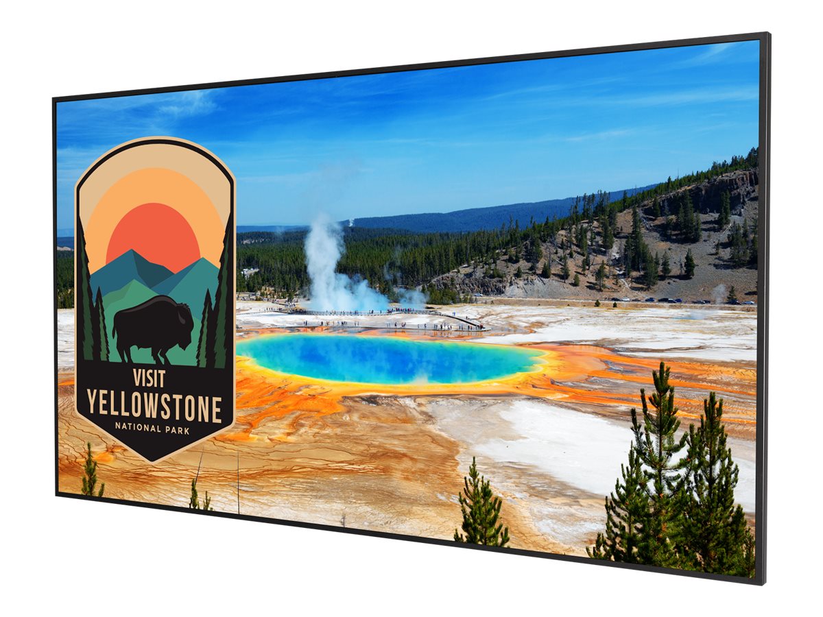 Planar 75" SLM75 4K Ultra HD LED-LCD Display (998-2766-00)